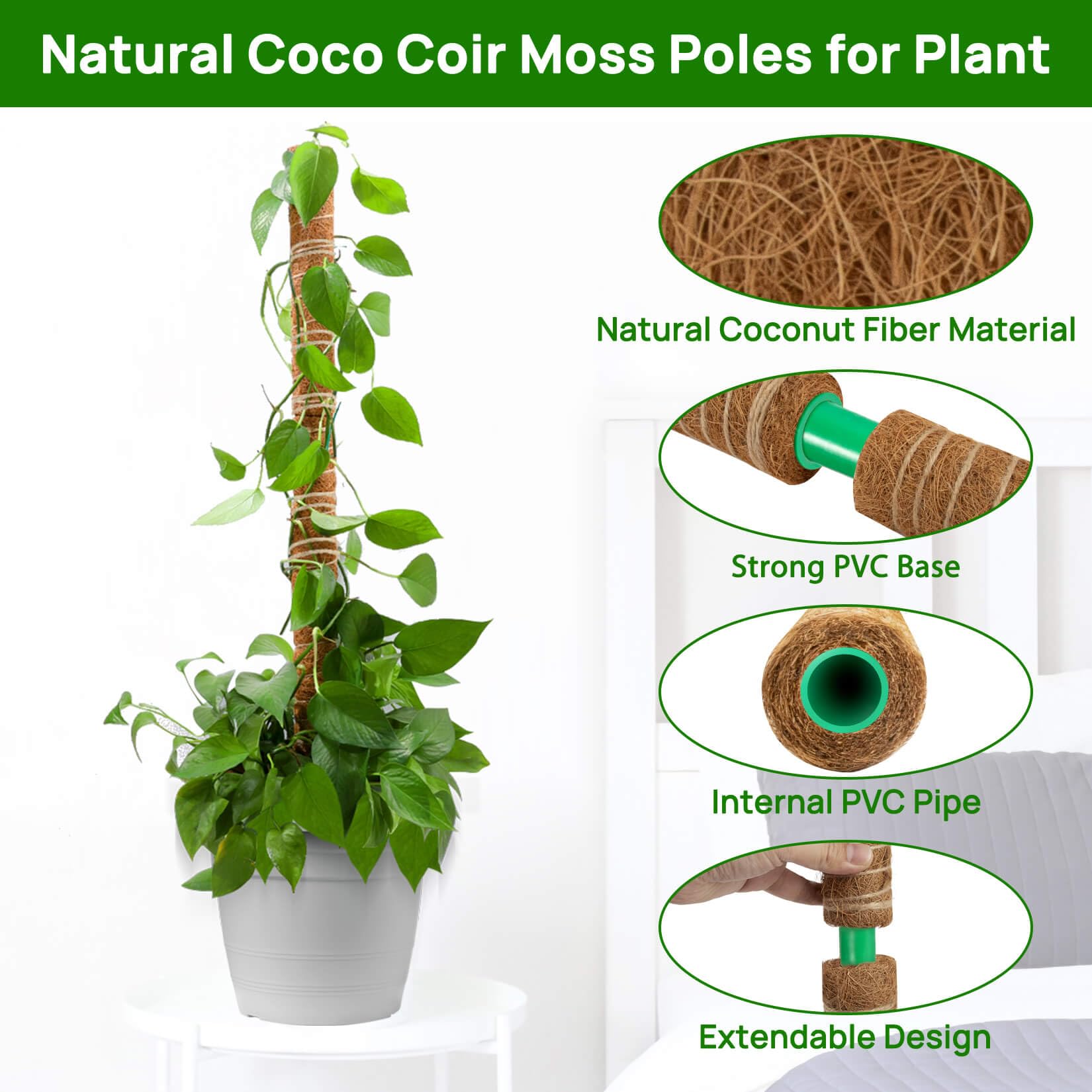 Sukh Moss Totem Pole - Moss Pole for Plants Monstera 2 Pcs 15.7 Inch Coco Coir Pole for Climbing Indoor Potted Plants Training Grow Upwards with Jute String Moss Stick for Plant Support Extension