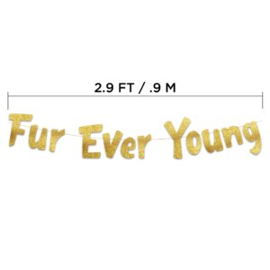 Furever Young Gold Glitter Banner – Dog Birthday Banner – Cat Birthday Decorations – Funny Puppy and Kitten Birthday Party Supplies and Gifts