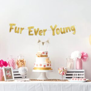 Furever Young Gold Glitter Banner – Dog Birthday Banner – Cat Birthday Decorations – Funny Puppy and Kitten Birthday Party Supplies and Gifts