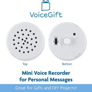 VoiceGift 60 Second Multi-Message Voice Recorder, Record Custom Messages for Plush Toy, Stuffed Bear Toy, Baby Doll Toy, and Pillow - 2 Pack