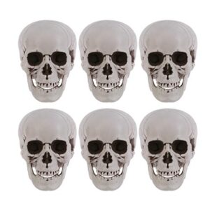 abaodam car decor skull decor plastic skulls halloween artificial skull realistic human adult skull head bone model for haunted house home table 6pcs size 11 skull decor plastic skulls home decor