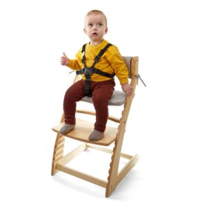 Fornel High Chair Straps, 5 Point Harness Strap for Adjustable Wooden Highchair for Toddlers