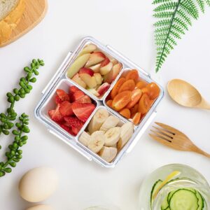 TOKLYUIE Veggie Tray with Lid Reusable Large Divided Serving Snack Tray with Lid Fruit Platter Vegetable Tray Food Storage Container with 4 Compartments