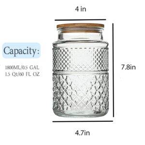 Large Glass Storage Jar, 2 Pack 60 FL OZ Glass Food Storage Containers with Bamboo Lid, Kitchen Containers Cereal Canisters Decorative Jar for Candy Snack Cookies Coffee Tea Nuts Airtight Glass Jars