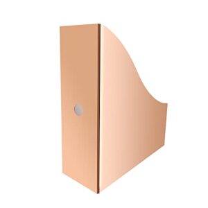 ANSSDO 12 Pack Rose Gold Magazine Holders, Premium Magazine File Holder for Desk, Foldable Cardboard File Folder Organizer as Book Bins Folder Holder for Office or School