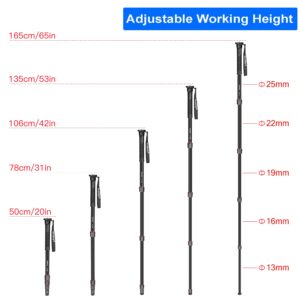 Manbily 65-Inch Camera Monopod, 5 Sections Aluminum Travel Monopod for Canon Nikon Sony DSLR Cameras Video Camcorder, Compact Portable Monopod Lightweight Walking Trekking Stick（E-222）