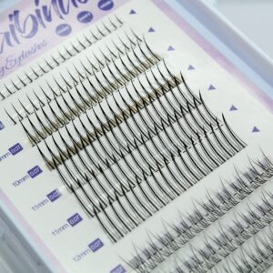 Saibinuo 240pcs Mixed Pack C Curl False Eyelash Extension Individual Lashes Lower Bottom Lash (5-6mm) Fairy Style A Shape (10-12mm) Fish Tail (9-11mm) Natural Clusters, 240 Count (Pack of 1).