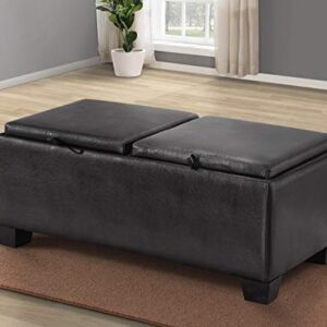 Lexicon Calero Storage Cocktail Ottoman, Espresso