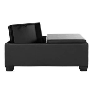 Lexicon Calero Storage Cocktail Ottoman, Espresso