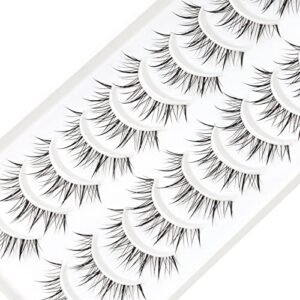 Anime Lashes With Clear Band Korean Lashes Natural Look 13mm Korean Eyelashes Wispy Anime Eyelashes 10 Pairs False Lashes Japanese Korean Natural Lashes Asian Lashes by Obeyalash