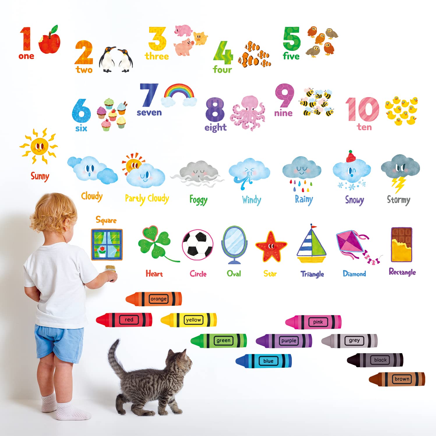 DECOWALL DS9-8056 Numbers Crayons Weather and Shape Wall Decals Stickers Kids Nursery Classroom Bedroom Room décor playroom Stick Peel Educational Removable Colorful Living Decal Animal Learning