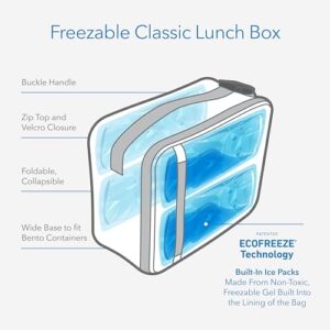 PackIt Freezable Lunch Box, Dino Fossils Neon, Built with EcoFreeze Technology, Collapsible, Reusable, Zip Closure, Perferct for Fresh Meals On the Go