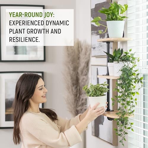 VEBAVO Rotating Window Plant Shelves for Optimal Light Exposure 16 inch, Wooden Window Shelf for Plants 3 Tier for Small Spaces, Stylish and Functional Indoor Plant Stand to Enhance Your Home Decor