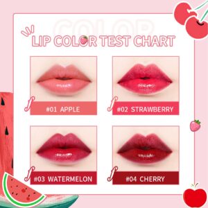 XINGXYUEL 4PCS Lip Tint Stain Set Velvet Lip Stain Lip Gloss Lip and Cheek Tint Non Sticky Tinted Lip Gloss Long Lasting Liquid Lipstick Set