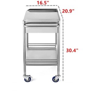 2 Layers Cart Trolley,Stainless Steel Medical Carts with Wheels,2 Layers Household Utility Carts with Drawers, Spa Esthetician Cart Rolling Lab Cart w/Wheels