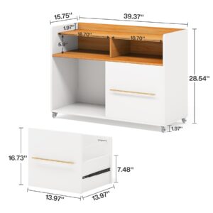 Tribesigns 2 Drawer File Cabinet Rolling Filing Cabinets for Home Office White lateral File Cabinet Wood File Cabinet for Letter Size, Printer Stand with Rolling Wheel and Open Storage Shelves