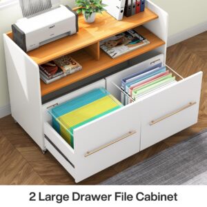 Tribesigns 2 Drawer File Cabinet Rolling Filing Cabinets for Home Office White lateral File Cabinet Wood File Cabinet for Letter Size, Printer Stand with Rolling Wheel and Open Storage Shelves