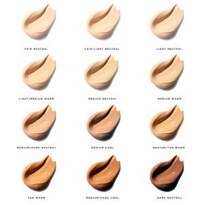 HALEYS Full-Coverage Concealer Set (Light/Medium-Warm): Re-wind Blurring Full Coverage Concealer, Brighten, Reduce dark circles and fine lines, Longwear, Lightweight, Re-mix Makeup Sponge, Smooths