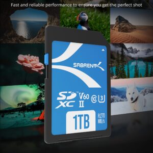 SABRENT Rocket V60 1TB SD UHS-II Memory Card R270MB/s W170MB/s (SD-TL60-1TB)