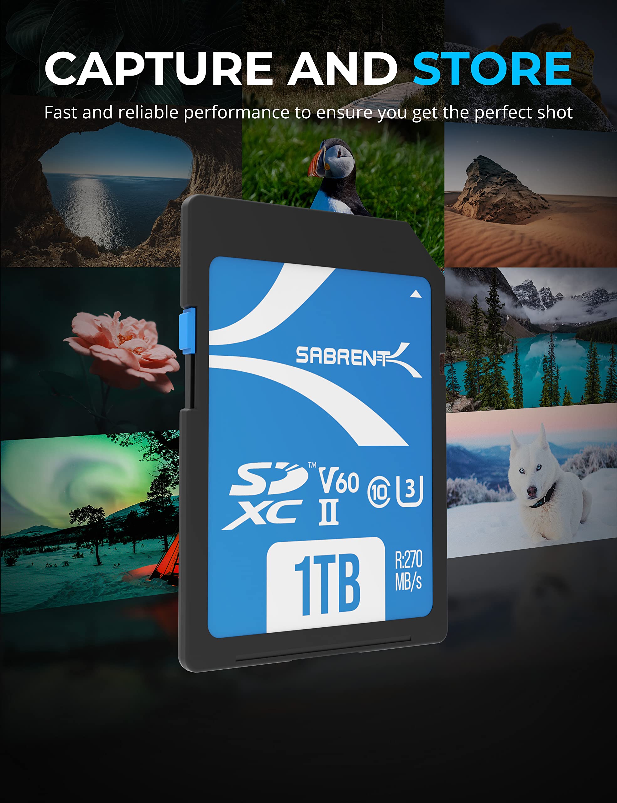 SABRENT Rocket V60 1TB SD UHS-II Memory Card R270MB/s W170MB/s (SD-TL60-1TB)