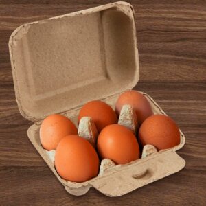 MUKLEI 50 PCS Paper Egg Cartons, 6 Egg Cartons Pulp Egg Cartons for Kitchen, Farm, Market, Travel and Transport, Brown