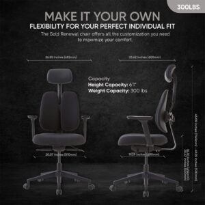 Duorest [Dual-Backrests Gold Renewal (Fabric) Ergonomic Office Chair - Best Office Chair for Posture, Office Chair for Bad Back, Back Pain,Lumbar Support l Home Office Desk Chairs (Black)