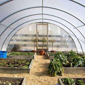 GRELWT Greenhouse Plastic Sheeting 12x25 ft, 6 mil Thickness Replacement Cover, UV Resistant