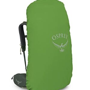 Osprey Kestrel 68L Men's Backpacking Backpack, Bonsai Green, L/XL