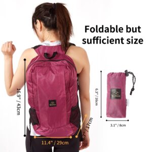 RiccZeuu Packable Backpack Hiking Daypack for Travel Camping Outdoor,Water Resistant Lightweight,30L,purple