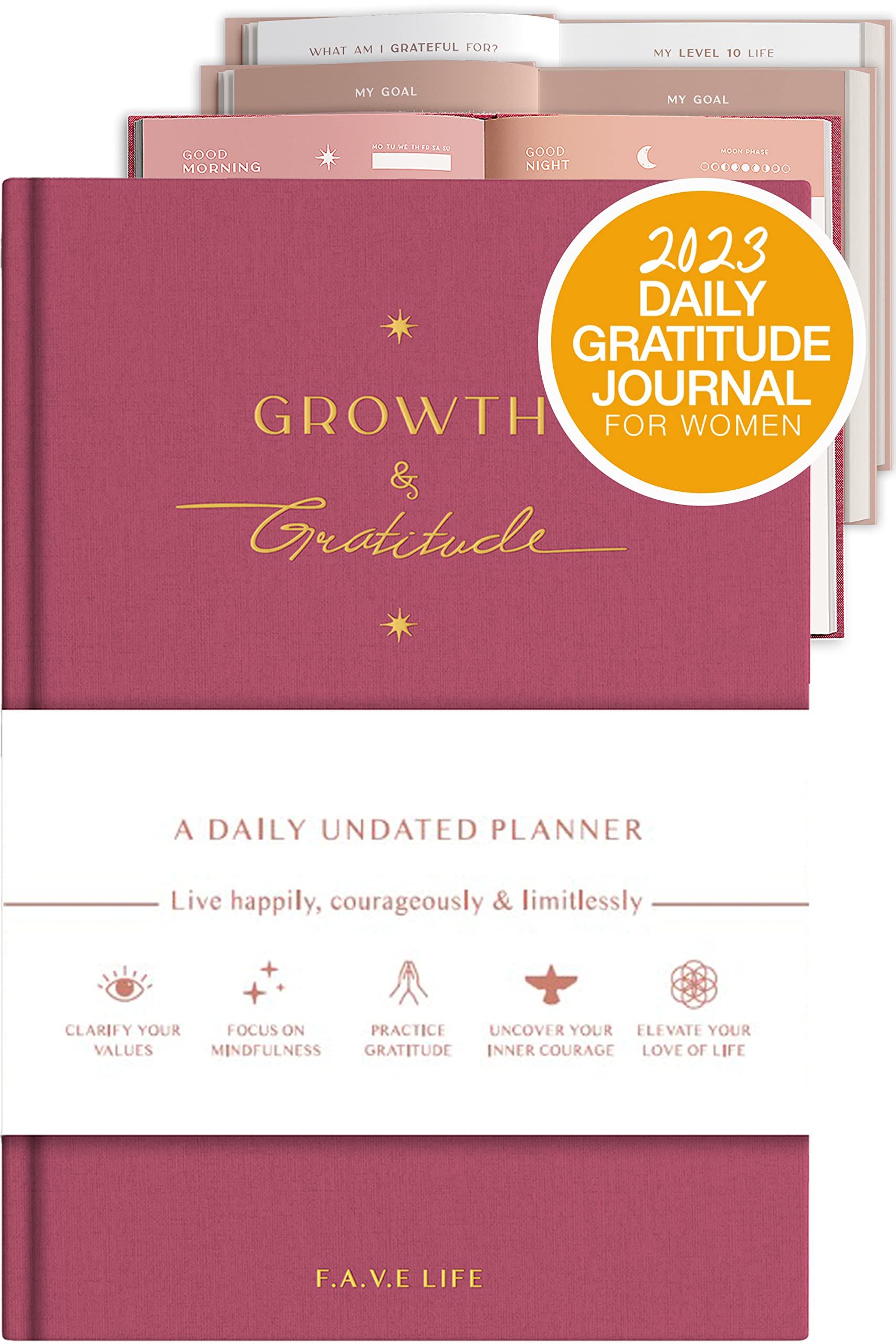 Daily Gratitude Journal for Women - Daily Affirmation & Mindfulness - Goal Planning with Self Reflection Pages - Gratefulness & Wellness Planner - Boost Positivity & Thankfulness