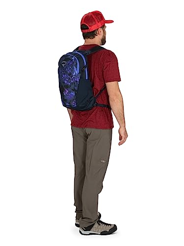 Osprey Daylite Commuter Backpack, Green Canopy/Green Creek