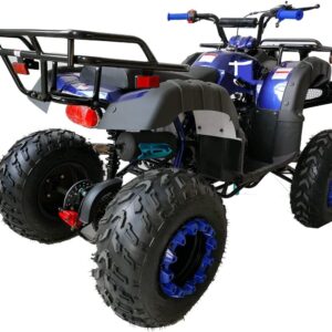 200cc ATV Quad Youth ATVs Big Size Adult Quad Fully Automatic with Reverse 4 Wheeler Model CRT 200-1 (Bold Blue Color)