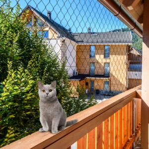 Bird Netting for Chicken Coop - 50x50ft Poultry Netting Over Chicken Run & Chicken Pen, Heavy Duty 2.4” Mesh Garden Net for Blueberry Bushes, Fruit Trees and Vegetable Against Birds, Deer, Squirrels