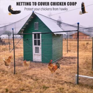 Bird Netting for Chicken Coop - 50x50ft Poultry Netting Over Chicken Run & Chicken Pen, Heavy Duty 2.4” Mesh Garden Net for Blueberry Bushes, Fruit Trees and Vegetable Against Birds, Deer, Squirrels