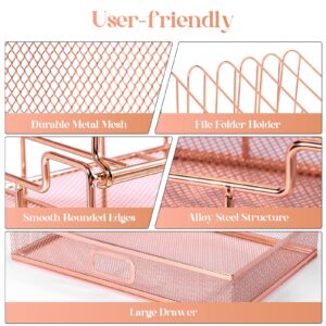 Rose Gold Desk Organizers and Accessories with 5 Vertical File Folder Holders & Sliding Drawer, Cute Office Supplies for Women, Desk File Organizer, Binder Holder for Desk, Binder Holder for Desk