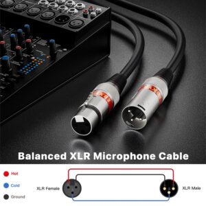 EBXYA XLR Cables 100ft 2 Pack - Mic Cables Balanced DMX Cable Male to Female Suitable for Microphones, Radio Station, Stage Lighting