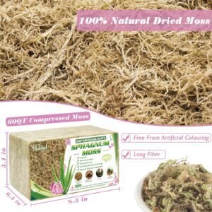 Halatool 3.3LBS Natural Sphagnum Moss for Plants 60 QT Premium Peat Moss Dried Long Fiber Orchid Moss for Orchid Repotting Carnivorous Succulents Garden Flowers Crafts Terrarium and Reptiles