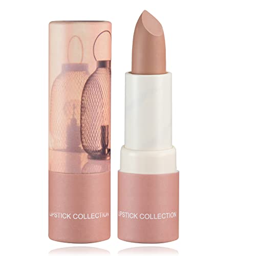 Fusang Matte Nude Lipstick,Silky Velvety Long Lasting Non Stick Cup Highly Pigmented Lip Gloss Set (Nude)