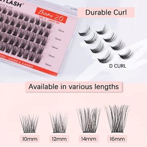 Lash Clusters, 60Pcs Individual Lashes DIY Eyelash Extensions, D Curl Cluster Lashes Soft and Lightweight 10-12-14-16mm Mixed Lash Extension Easily Done at Home（Miami 10-16mm）