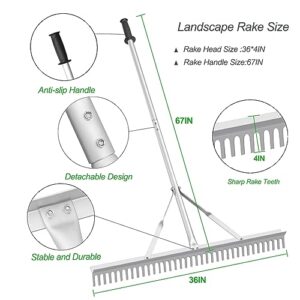 Landscape Rake 36 Inch Head, Leaf Rakes for Lawns with 67 Inch Handle,Aluminum Yard Rake Tool for Loosening Soil, Landscaping Lawn Care , Lake Garden Pond and Beach Care.