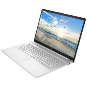 HP 17 17.3" HD+ Touchscreen Business Laptop Computer[Windows 11 Pro], 12th Gen Intel 10-Core i7-1255U, 64GB RAM, 6TB PCIe SSD, Iris Xe Graphics, Numpad, Wi-Fi, BT, HDMI, Long Battery Life, w/Battery