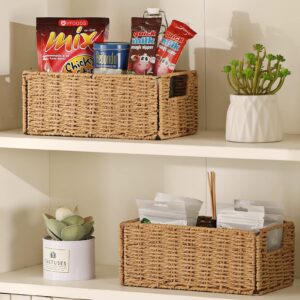 Vagusicc Wicker Storage Basket, Set of 2 Hand-Woven Paper Rope Small Storage Organizer Baskets Bins with Handles, Toilet Paper Baskets Small Wicker Baskets for Organizing Toilet Shelves, Natural