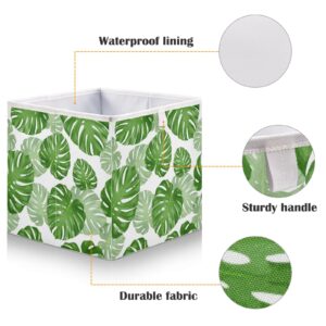 Kigai Tropical Palm Leaves Cube Storage Bins - 11x11x11 In Large Foldable Storage Basket Fabric Storage Baskes Organizer for Toys, Books, Shelves, Closet, Home Decor