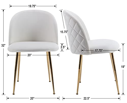 HNY White Velvet Mid Century Modern Dining Chairs Set of 4, Upholstered Accent Chairs with Gold Metal Legs, Kitchen & Dining Room Chairs Side Chairs for Living Room, Cream