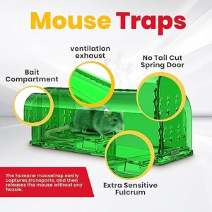 Utopia Home Humane Mouse Traps Indoor for Home (Pack of 2) - Green Reusable Mice Traps for House Indoor - Pet Safe Mouse Trap Easy to Set, Quick, Effective, & Safe Rodent Trap