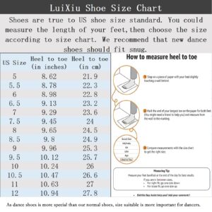 LuiXiu Ballroom Dance Shoes for Social Dancer Beginner 2.5 Inches Lace-Up Latin Swing Practice Dancing Sandals LX04(6,Silver-2.5 Inch Heel)