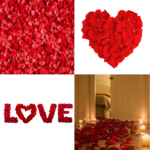 Valentines Day Balloons Decorations I Love You Balloons and Heart Balloons Kit with 1000Pcs Red Silk Rose Petals Flower Decoration Love-Bear Heart Print Balloons Banner for Valentine Party Decorations