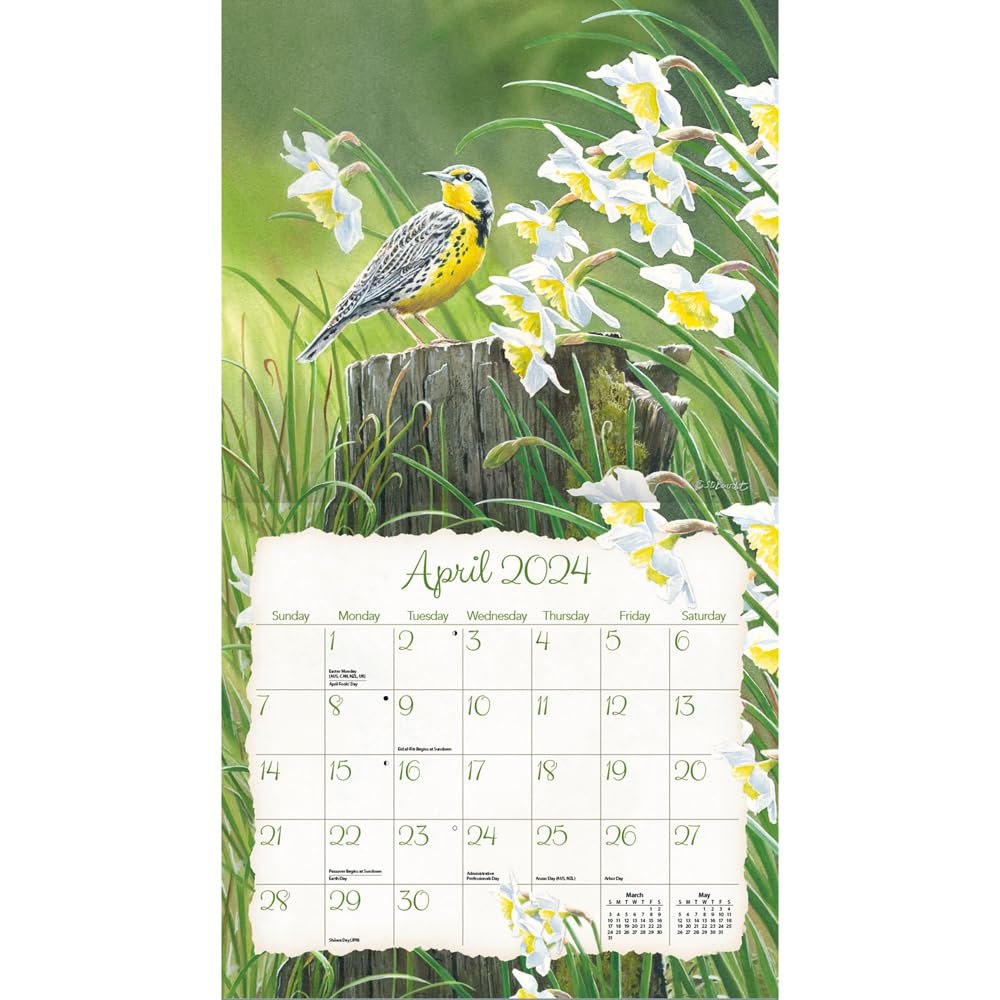 LANG Songbirds™ 2024 Wall Calendar (24991001880) Multi