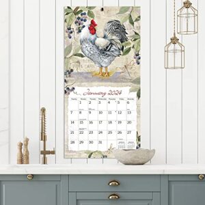 WSBL Roosters 2024 12X12 Wall Calendar (24997001691)