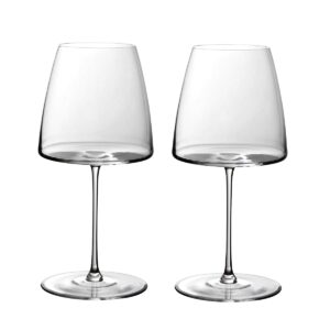 villeroy & boch metrochic red wine pair